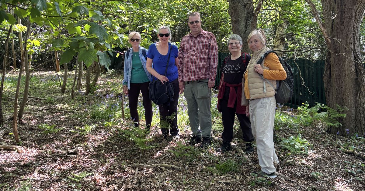 Lily Hill and Bracknell Forest - Ramblers